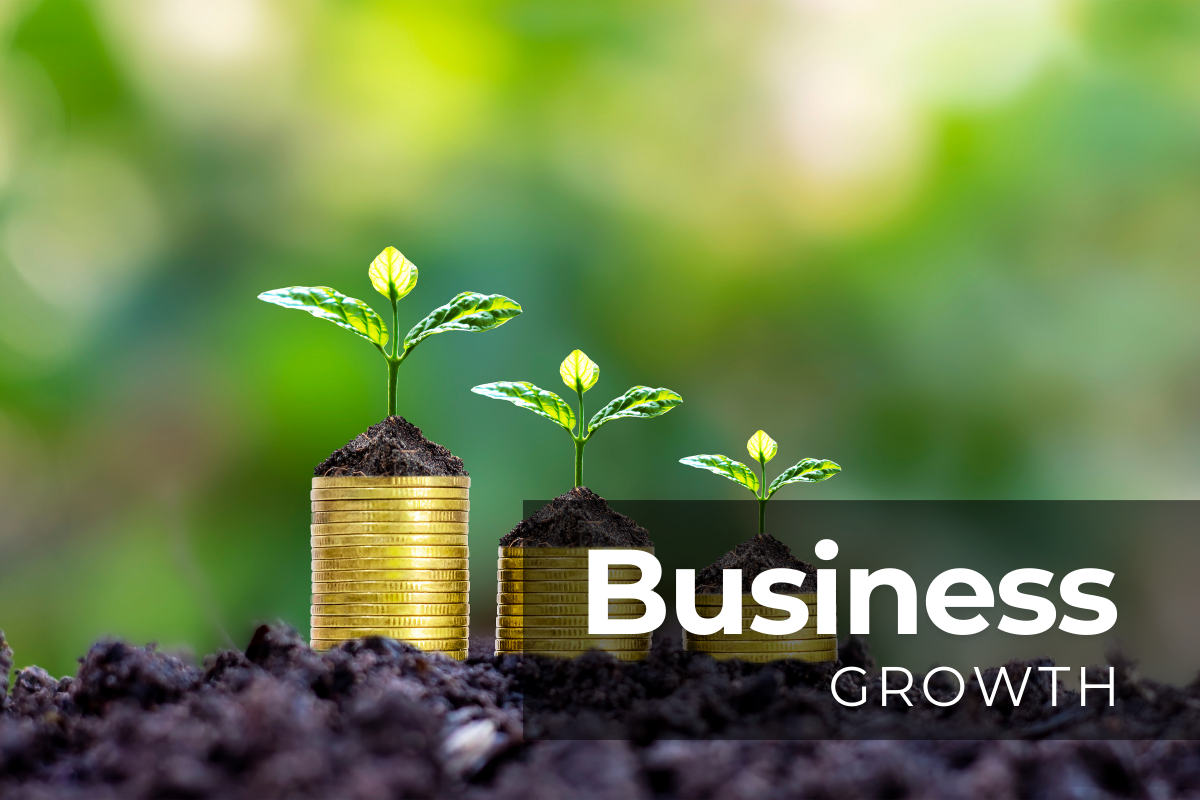 A Strategical Approach: How to Boost Your Business Growth? - COMMUNIQX
